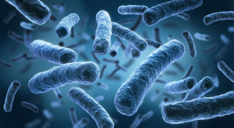 ACoP L8 Legionella Risk Assessment | Acorn Environment Services